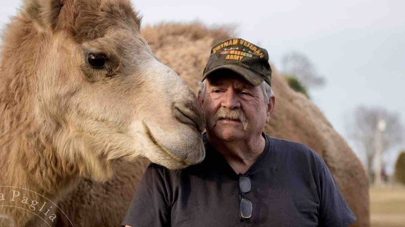 Fundraiser for Diane Mielke by Chelsea Clayton : Funeral Expenses for ...