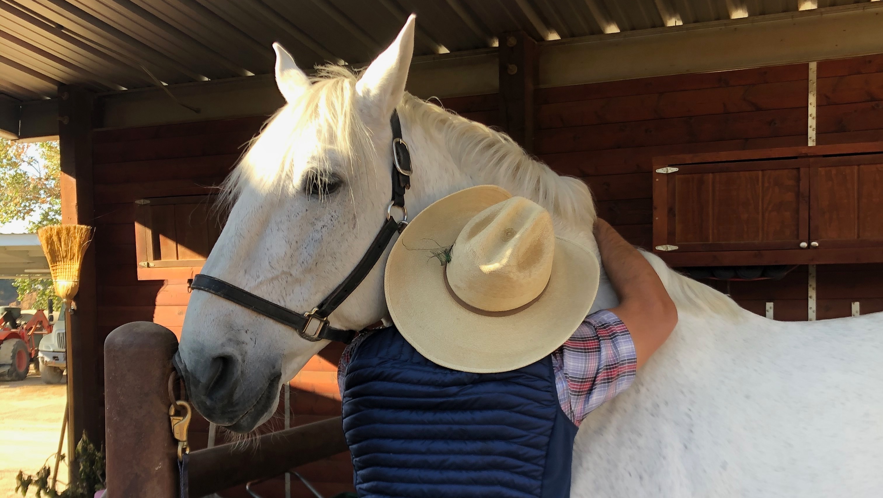 Fundraiser for Anne Nanej by Cameron Wyman : Pedro's Road to Recovery