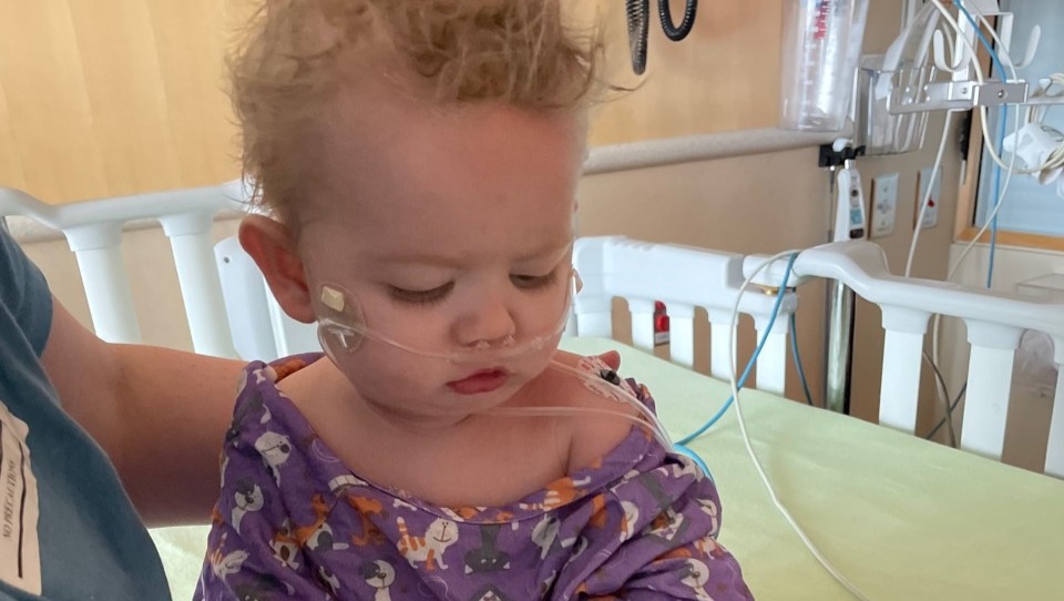 Fundraiser by Talli Hitt : Support Adler and Family