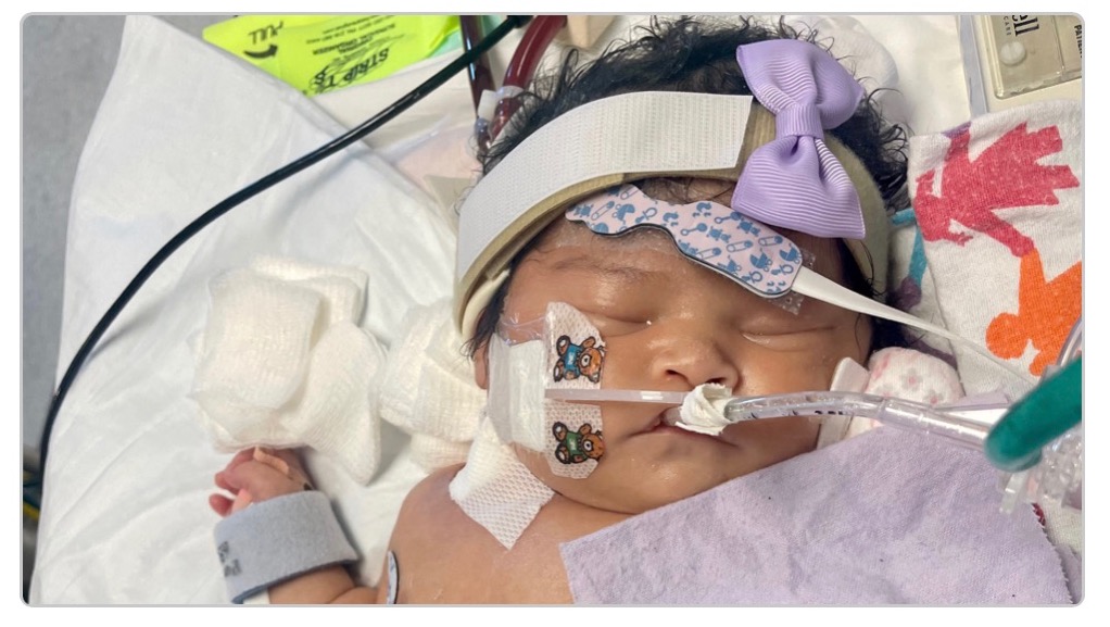 Fundraiser for Alexis Ferguson by Bobbie Bankston : Sweet Farewell to ...