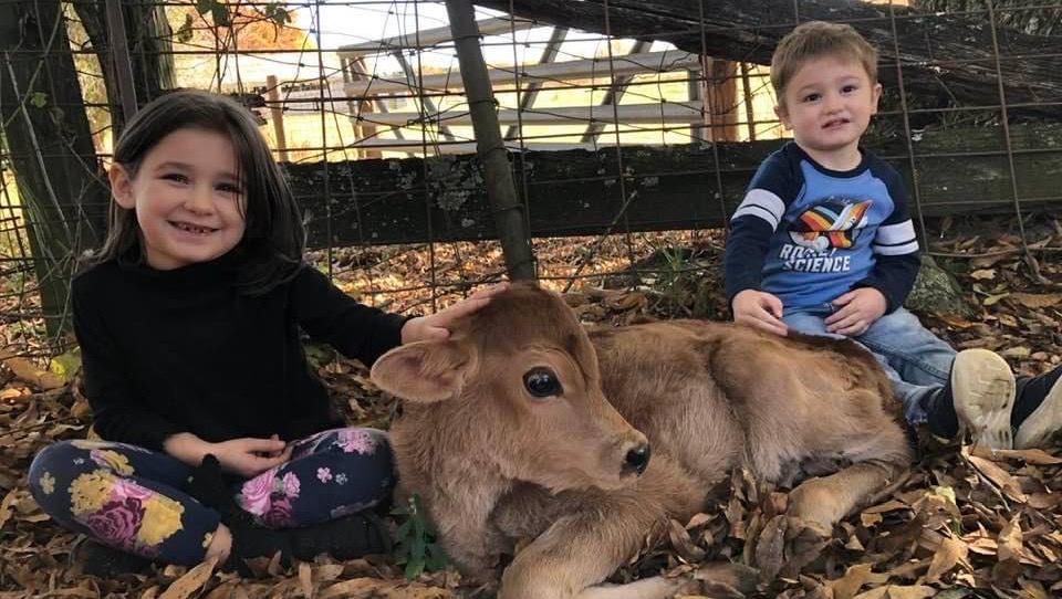 Fundraiser by Jordan Broughton : Bryan’s Final Expenses and Other ...