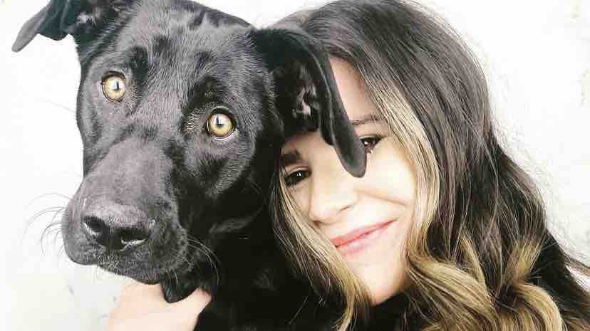 Fundraiser for Clair Brummer by Brummer Family : Vet Bills For Lyla