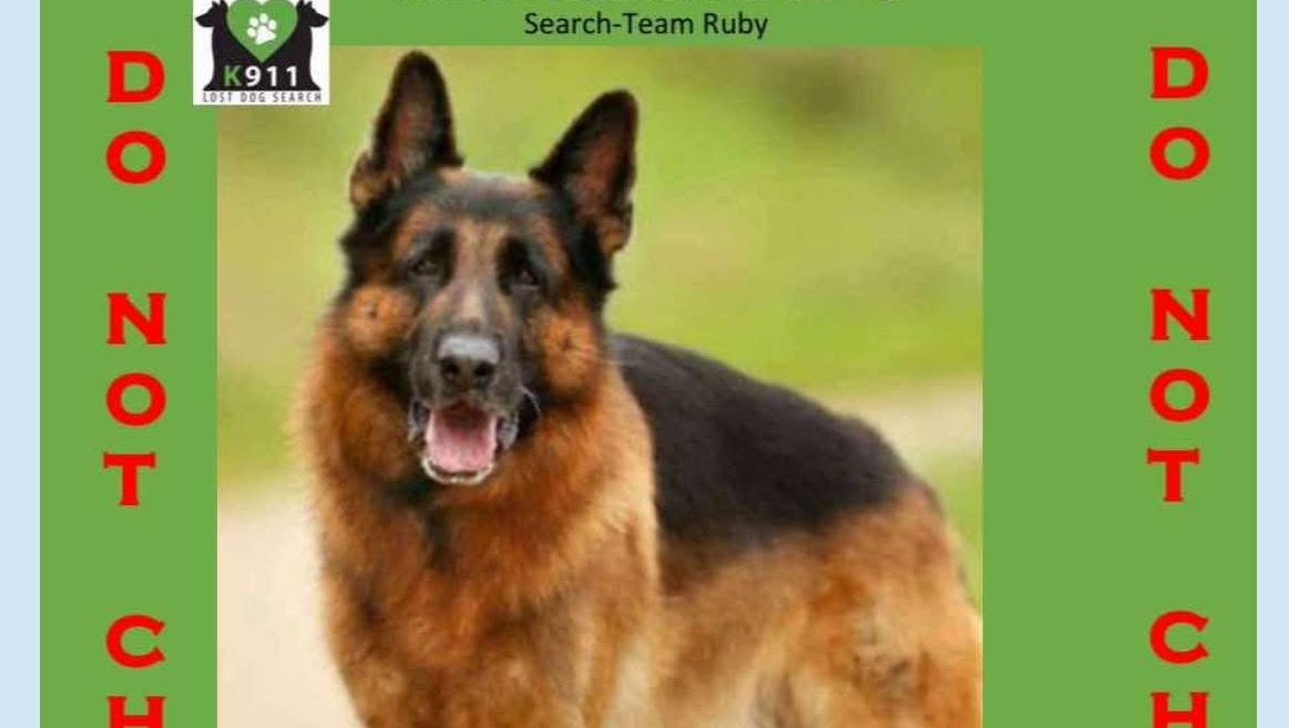 Fundraiser by Danielle Cook : Support Rescue Efforts for Missing German ...