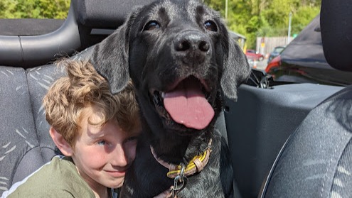 Fundraiser by Jonathan Hamblin-Langston : Flora's Cancer Surgery