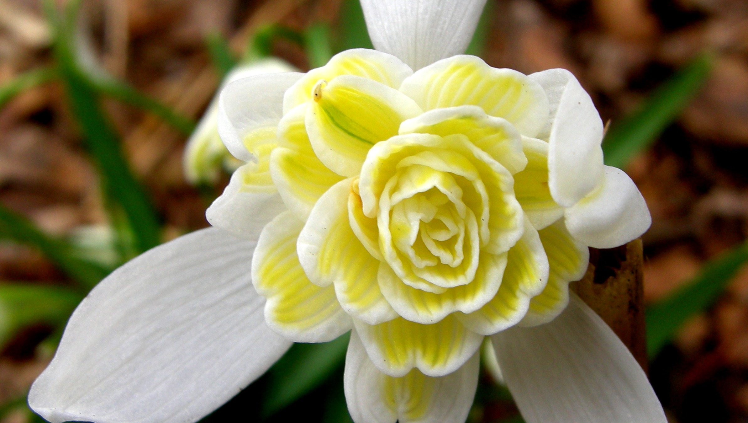 Fundraiser by Julie Gratton-Lafrance : Hébergeons une famille dans le ...