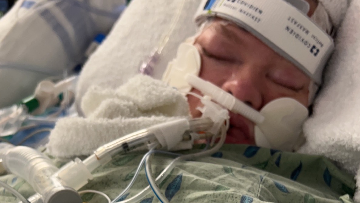 Fundraiser for Corinna Clark by Brianne Barnes : Help Us Laying Our ...