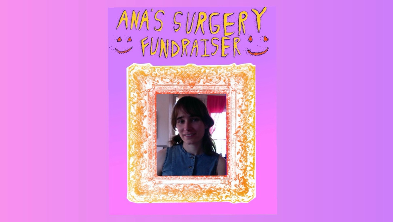 Fundraiser for Ana Woulfe by Chrissy Tashjian : ANA'S SURGERY FUND!!!!