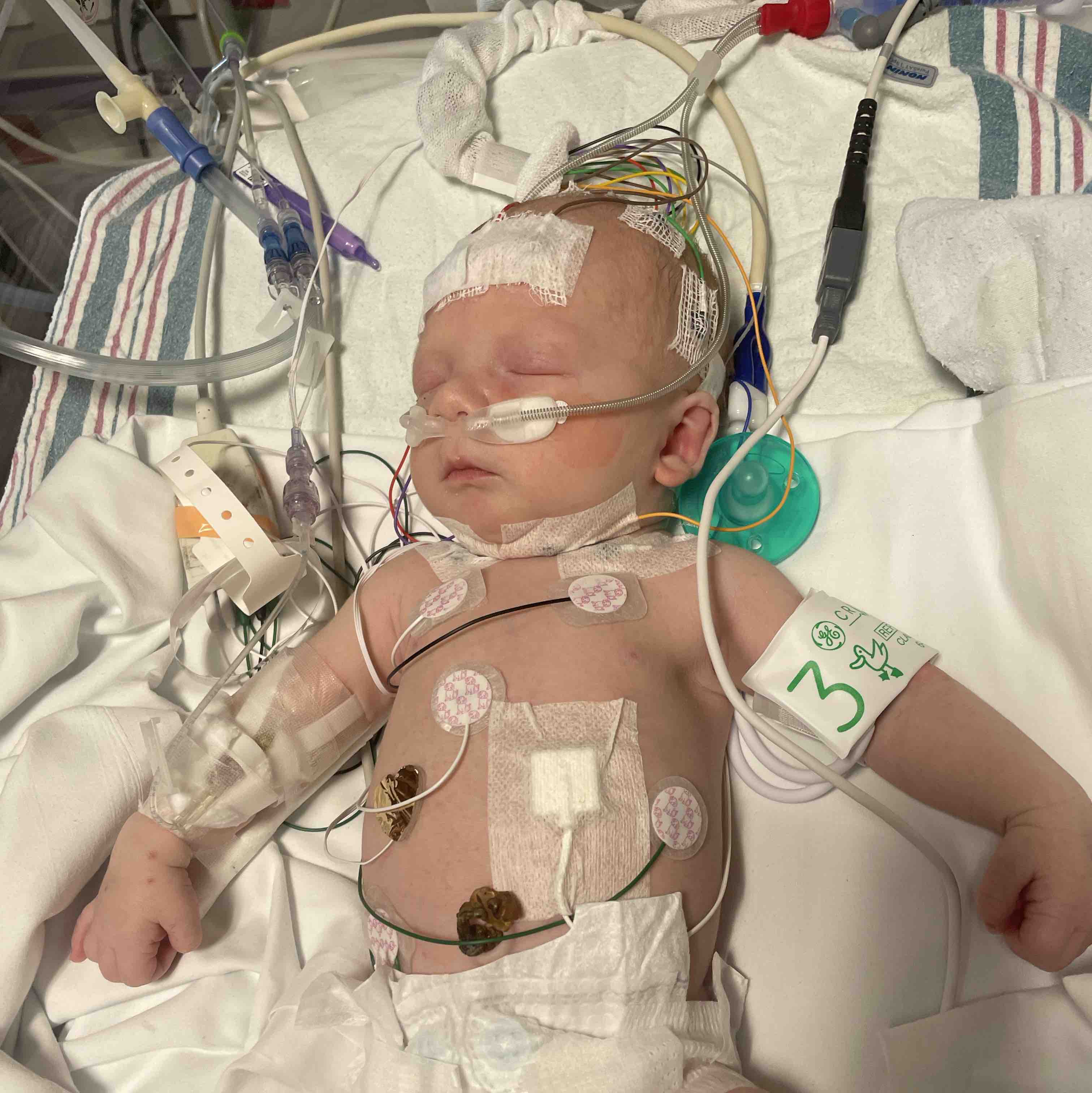 Fundraiser by Robert Liberto : Mayson Liberto And Family