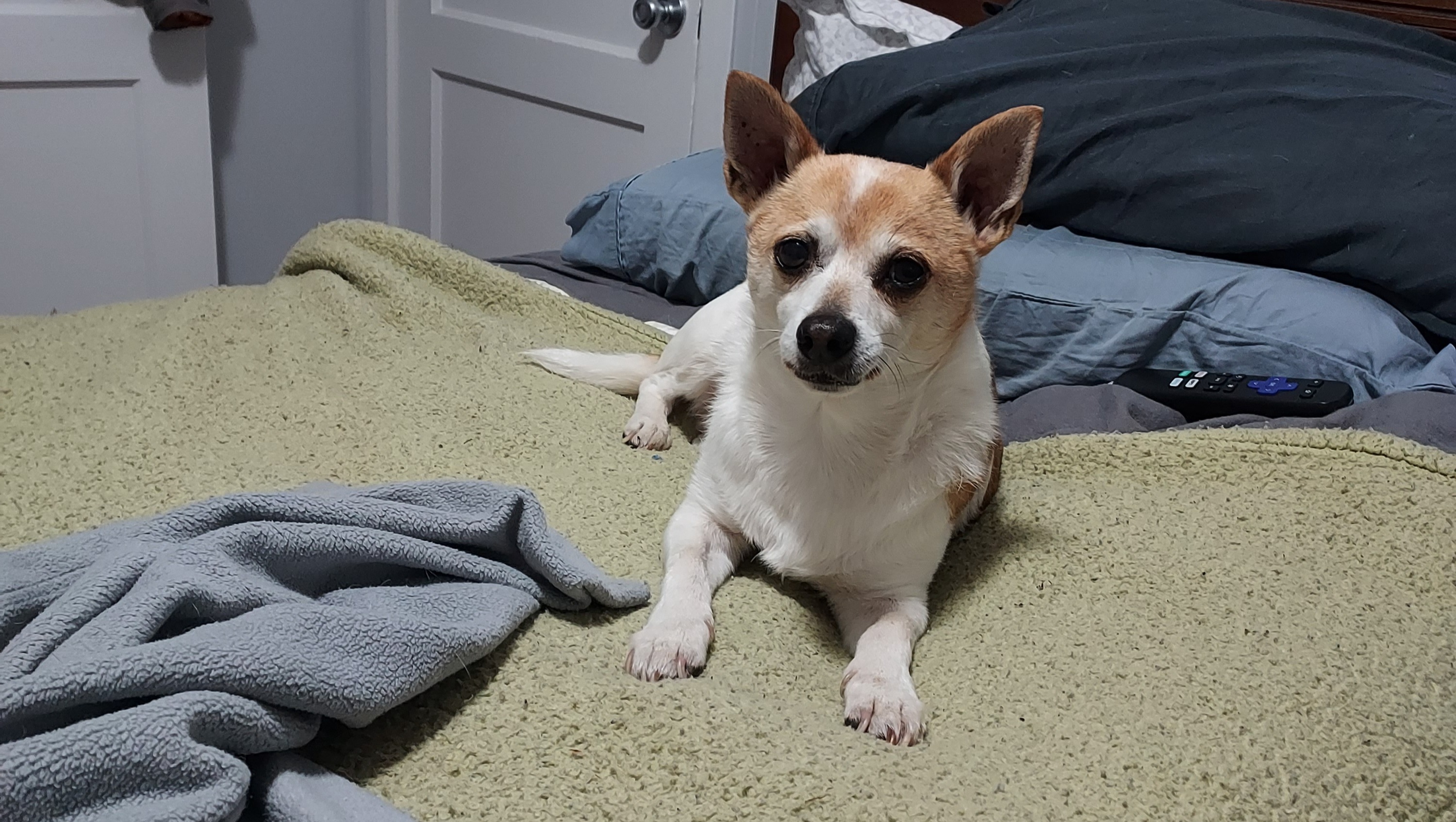 Fundraiser by Ryen Rapp : I Need Help