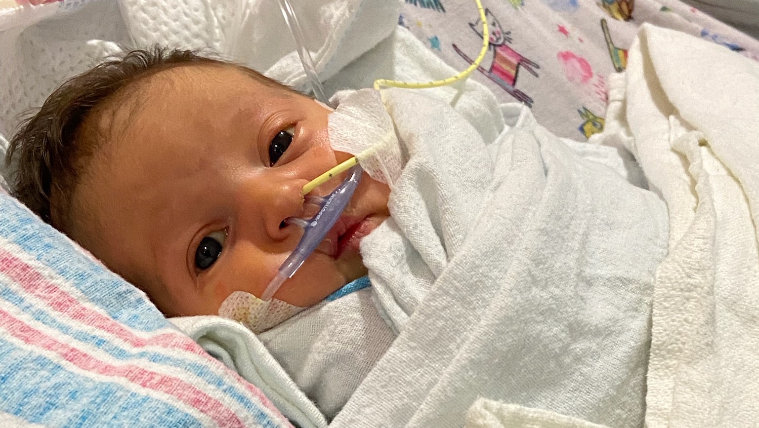 Fundraiser for Jena Thompson by Marissa Clifton : Emmy’s Battle