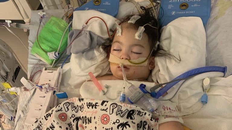 Fundraiser for Brooke Schroeder by Katie Pullman : Layla Schroeder ...