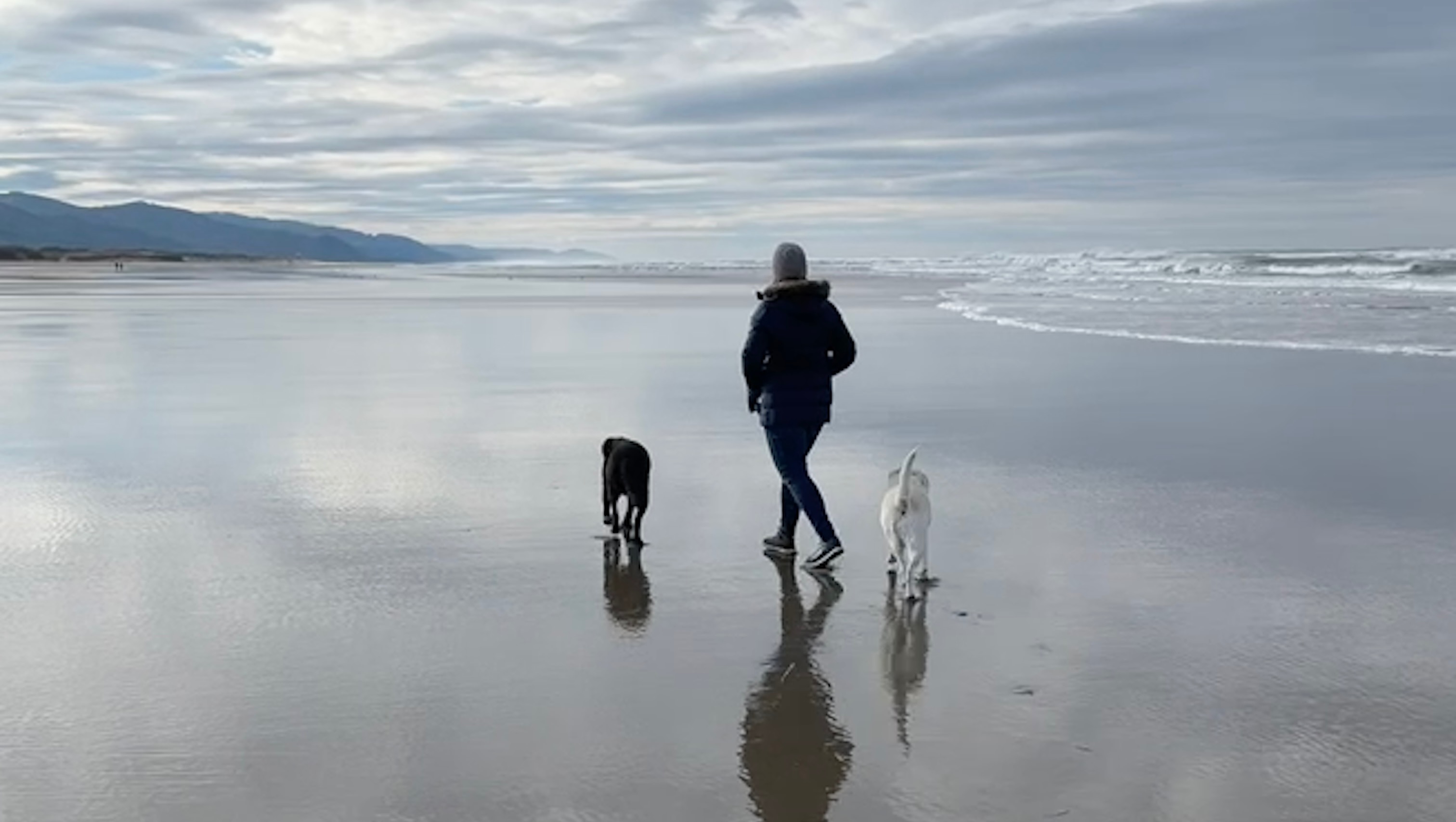 Fundraiser by Kim Bevier : Help Kim Beat Cancer