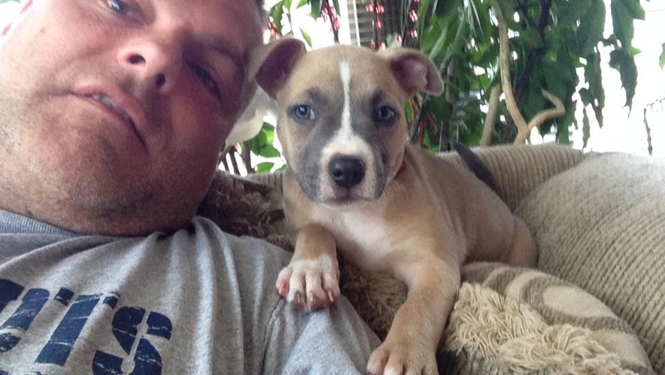 Fundraiser for Ronald Clapham by Art Nava : Help pay for Sophie’s ...