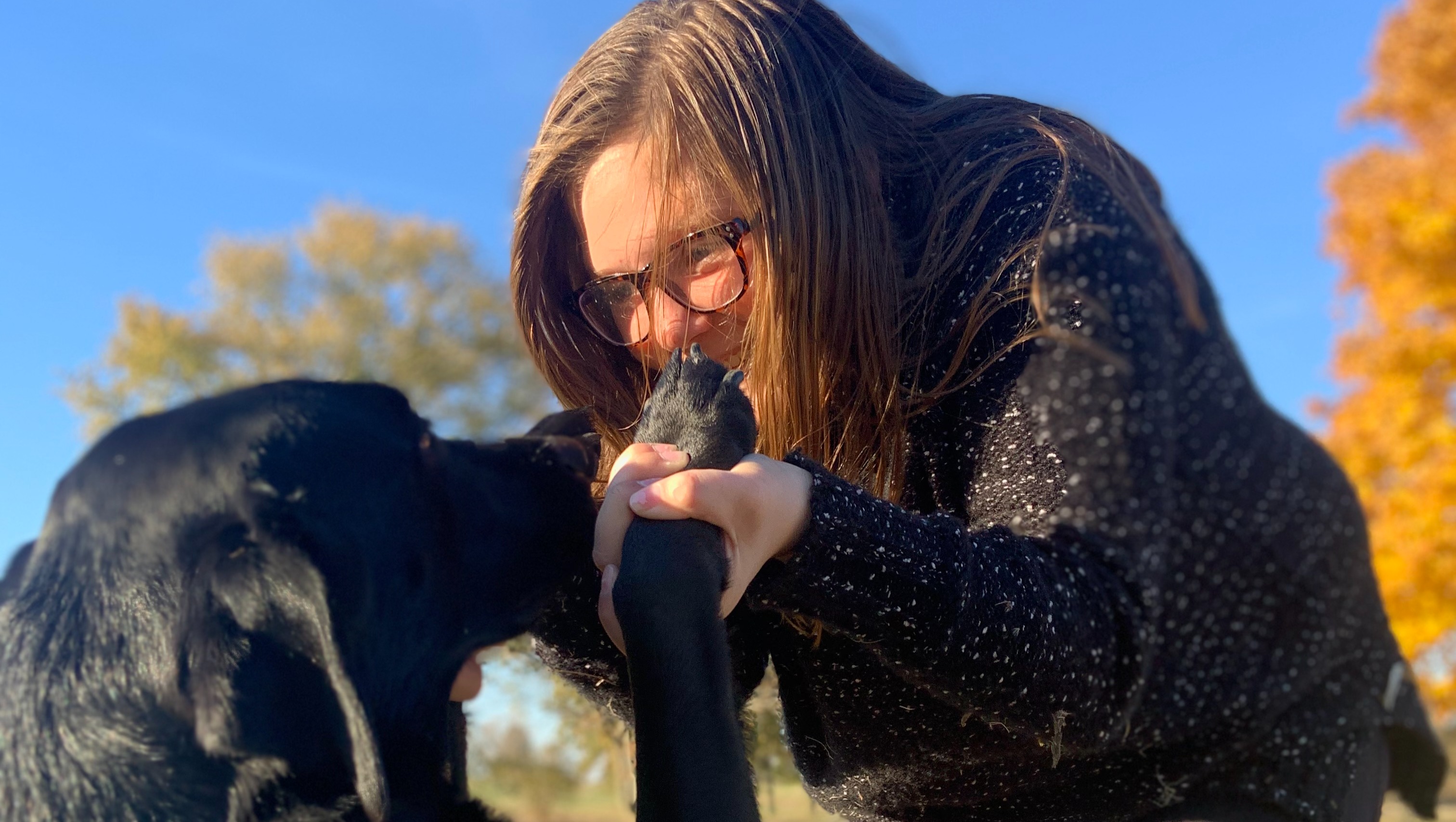 Fundraiser for Tracy Pierson by Kristi Hutchison : Help Ava train her ...