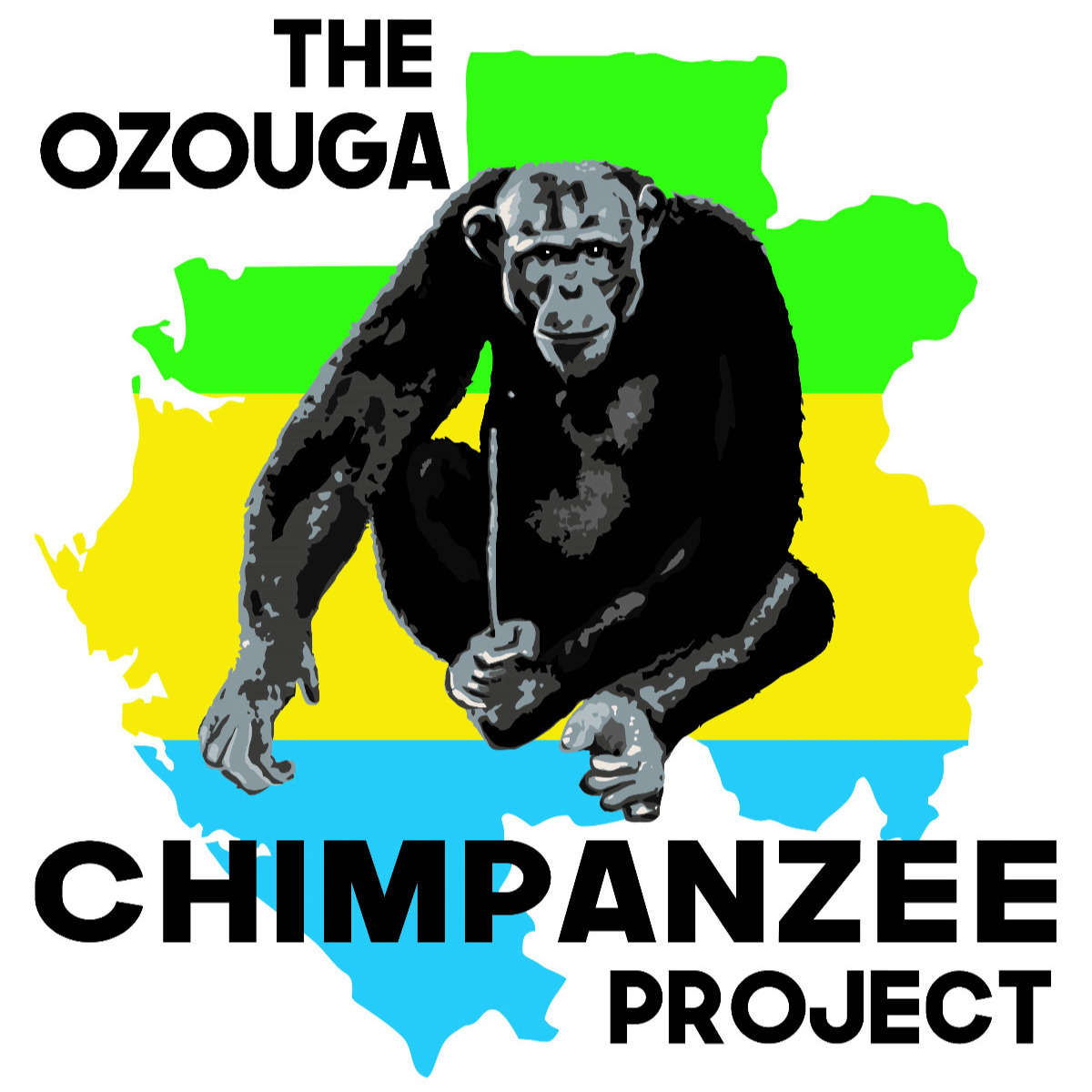 Fundraiser for Simone Pika by Frauke Olthoff : Help us! Nesta needs ...