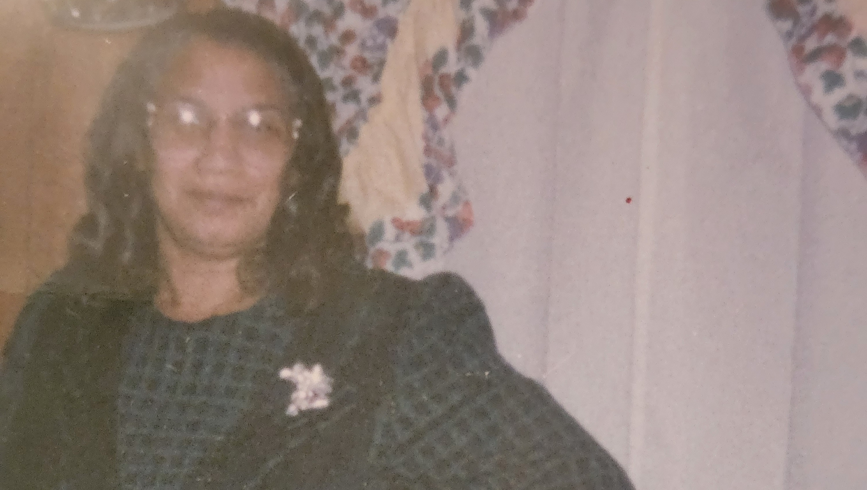 Fundraiser by Carmen Adorno : Lydia Osorio- Diaz, Guerrera De Dios