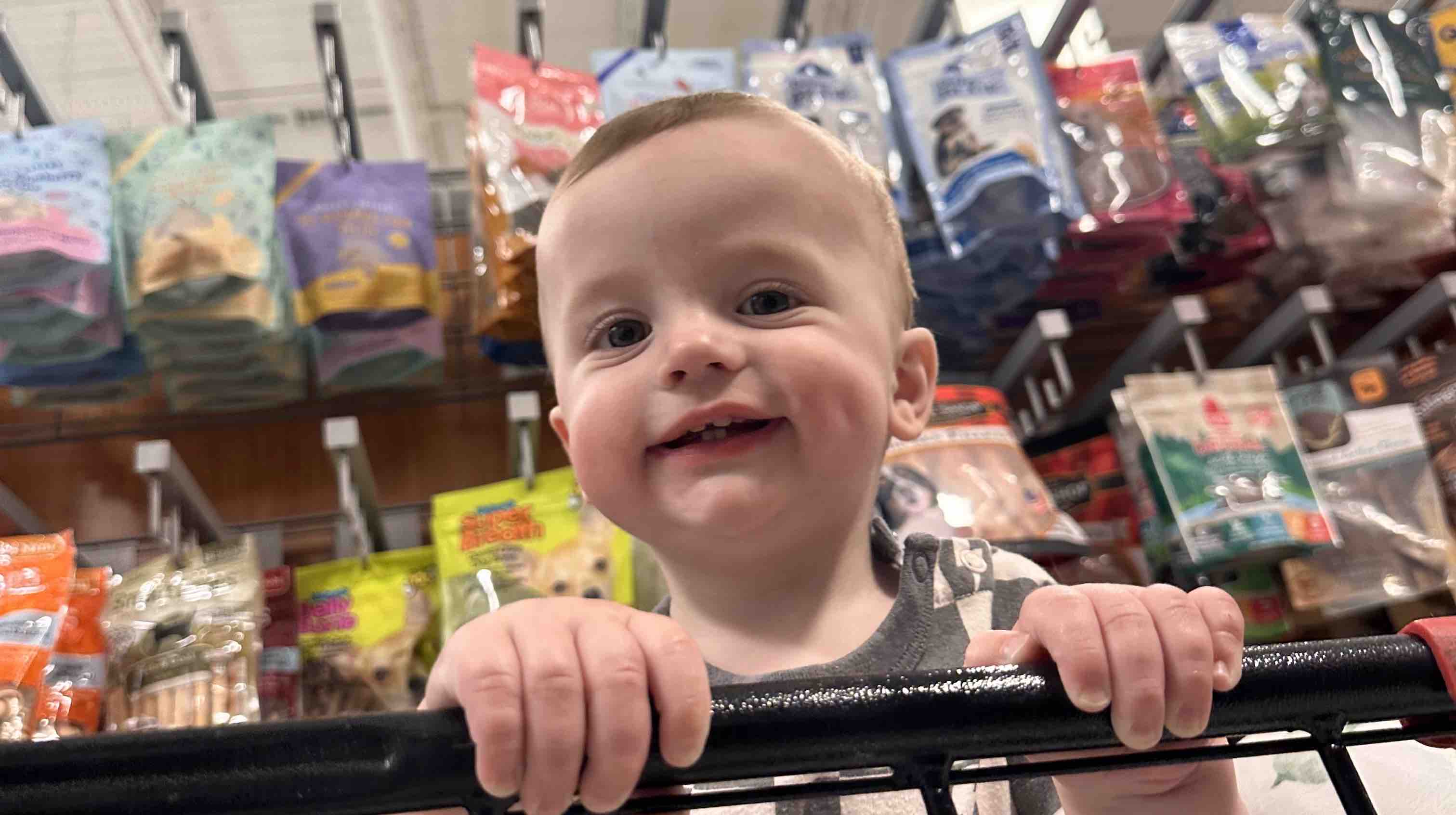 Fundraiser by Madison Groover : Ezra Shane, our heart warrior.