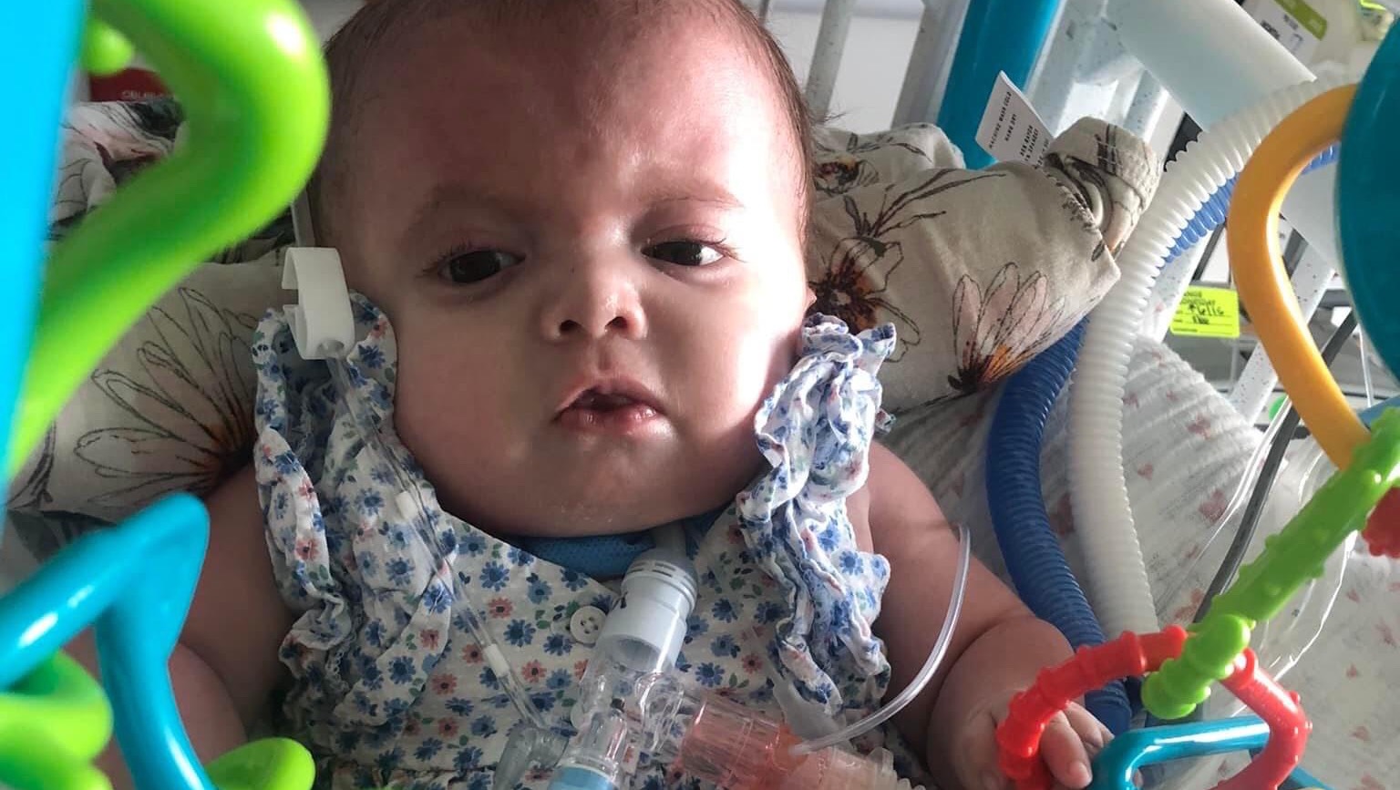 Fundraiser for Maria Schumaker by Karla Ravida : Schumaker Family ...