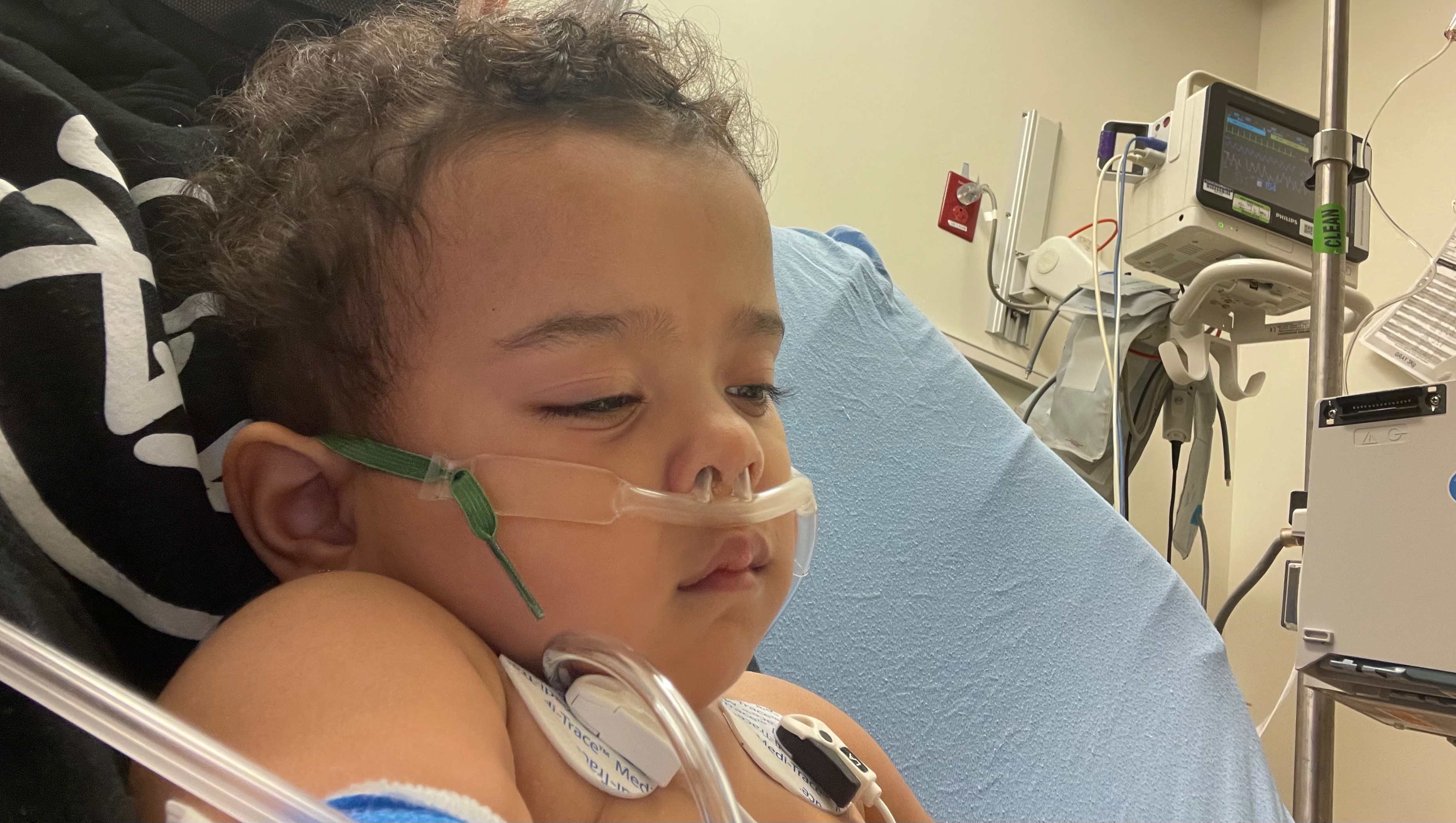 Fundraiser by Mariah Franco : Scarlett