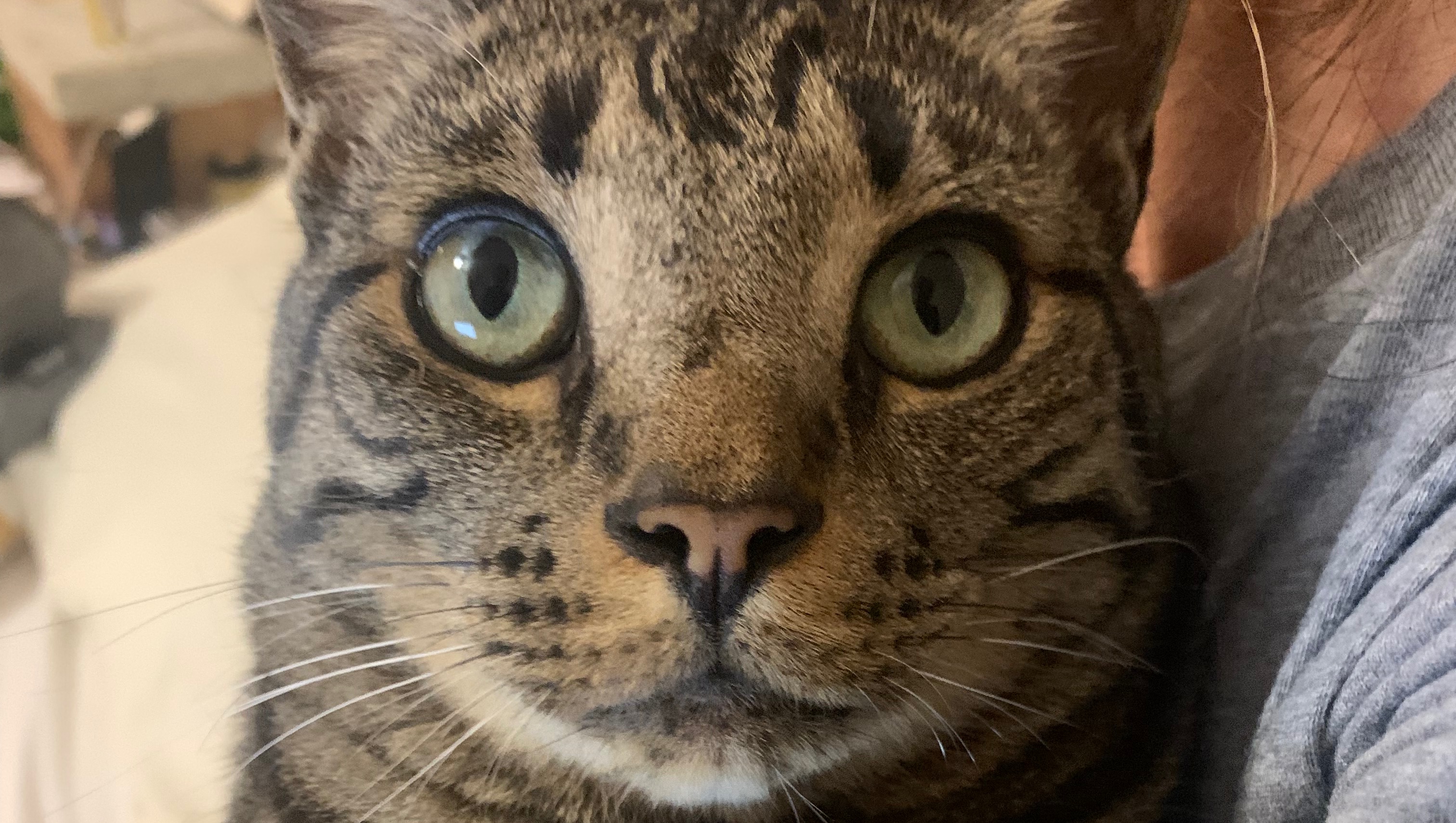 Fundraiser by Kristy Varela : Logan’s Road to Recovery ️‍