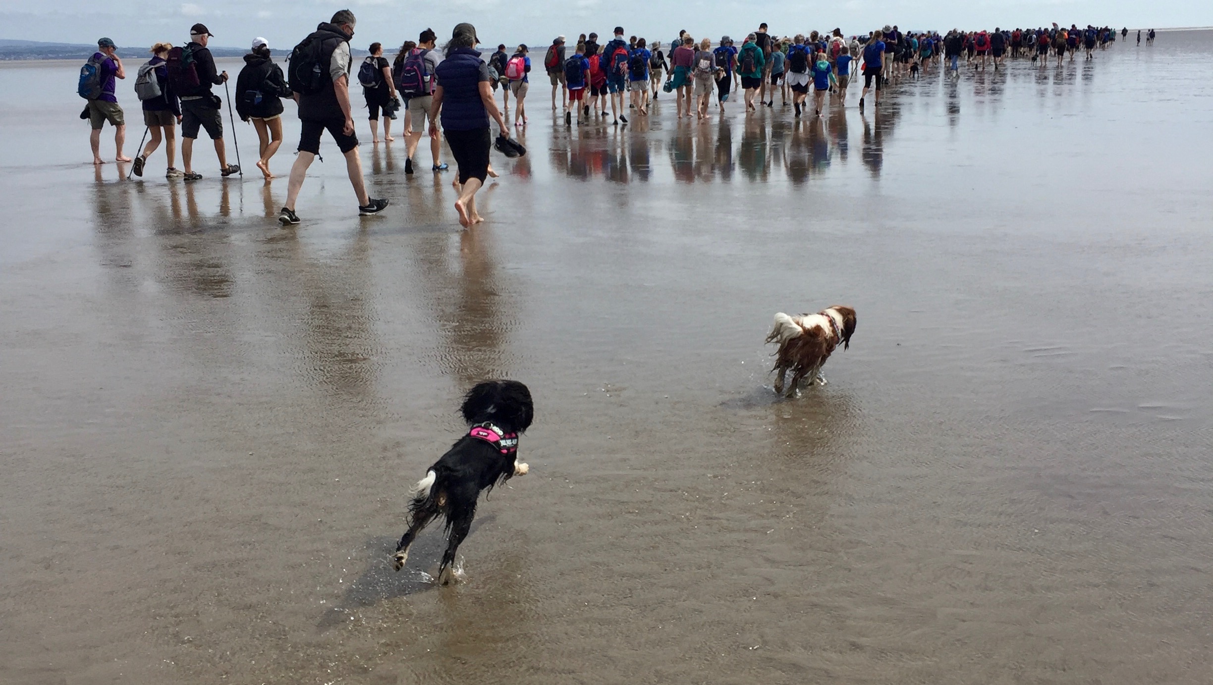 Fundraiser for Rebecca Mosley by Tracey Kay : Morecambe bay walk For ...