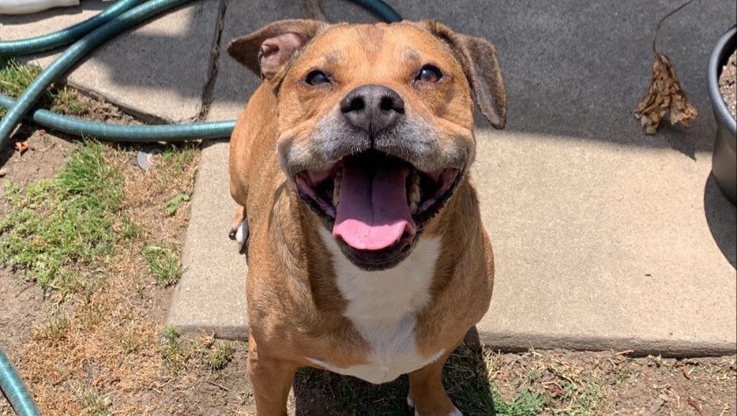 Fundraiser for Kat Bloss by Hannah Waggoner : Laylas removal of ...