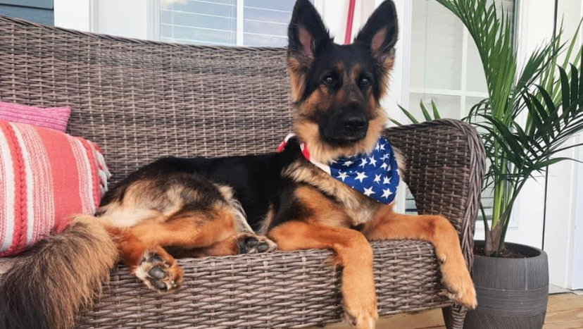 Fundraiser for Brandon Hecht by Christiana Marlowe : Please help us ...