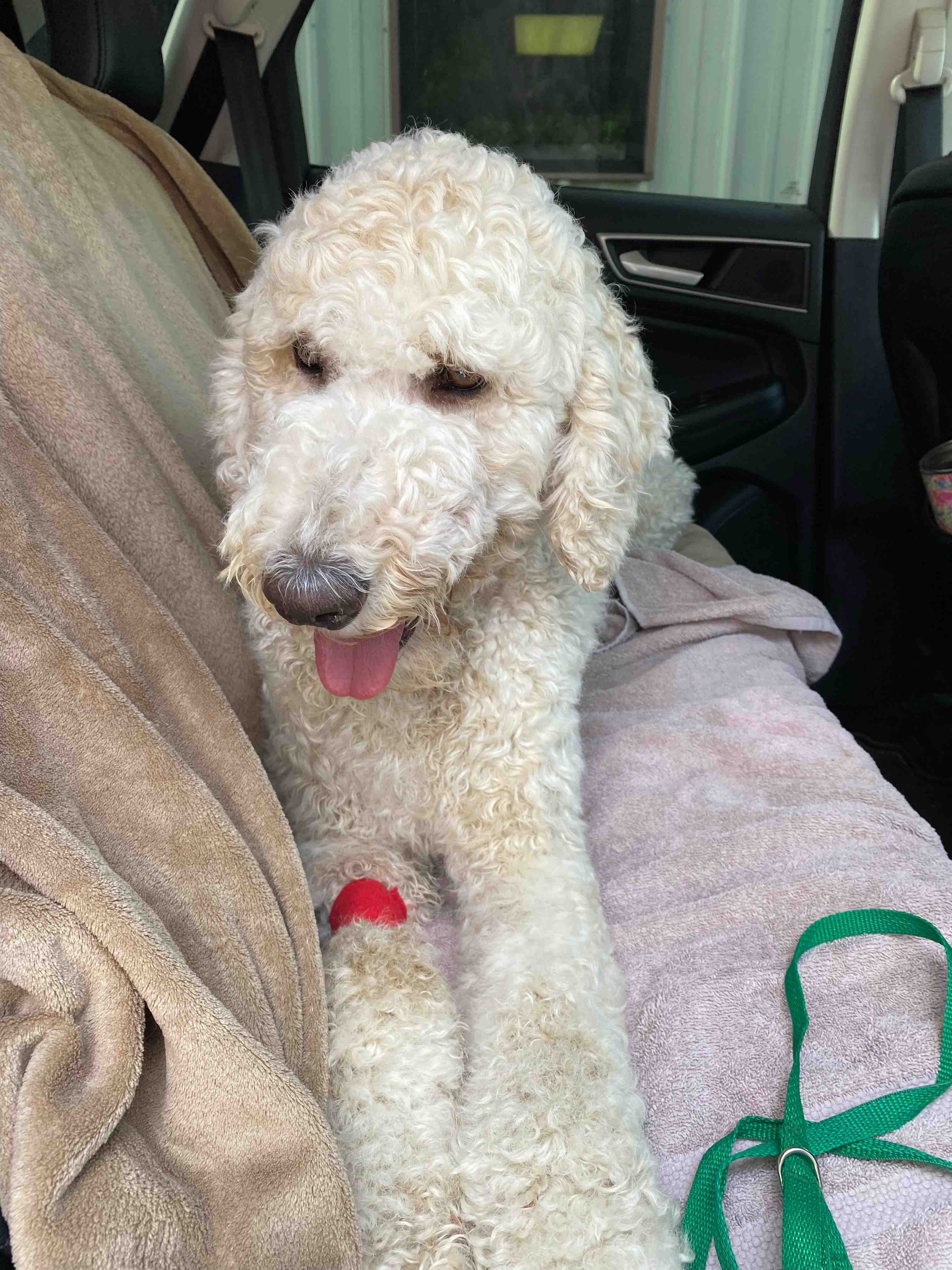 Fundraiser by Crystal Huckaby : Doodle Help for Huck