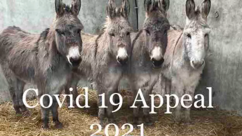 Fundraiser by Sandra Curran : Covid 19 Appeal 2021