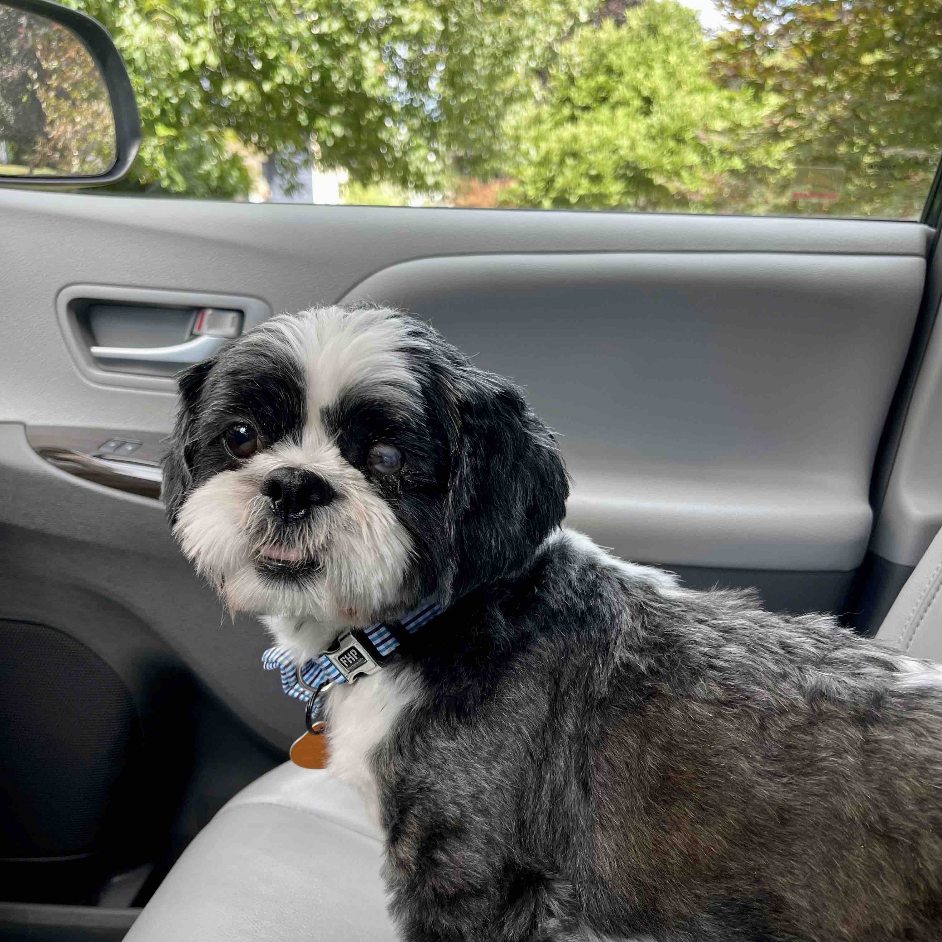 Fundraiser by Julie Jarrell : Hershel’s Heroes