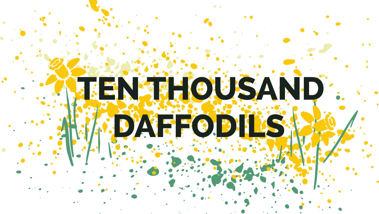 Fundraiser by Helen Ratcliffe : TEN THOUSAND DAFFODILS - a ceramic ...