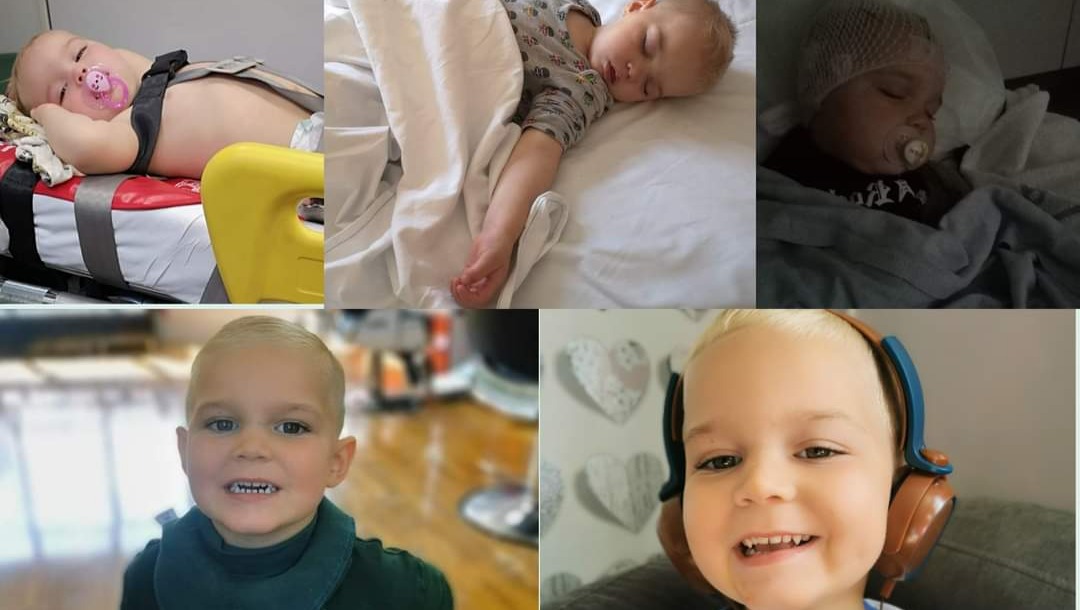 Fundraiser by Laura Thorne : A Day for Gray - Fundraising for Edith ...