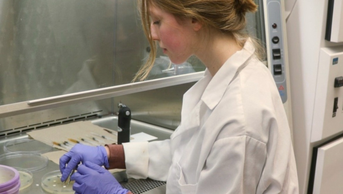 Fundraiser for Lisa Markowitz by Emma Markowitz : Help student research ...