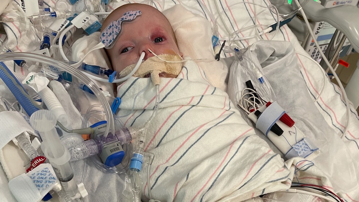 Fundraiser for Caleigh Burgess by Sam Gina Kilby : Little Lakelyn