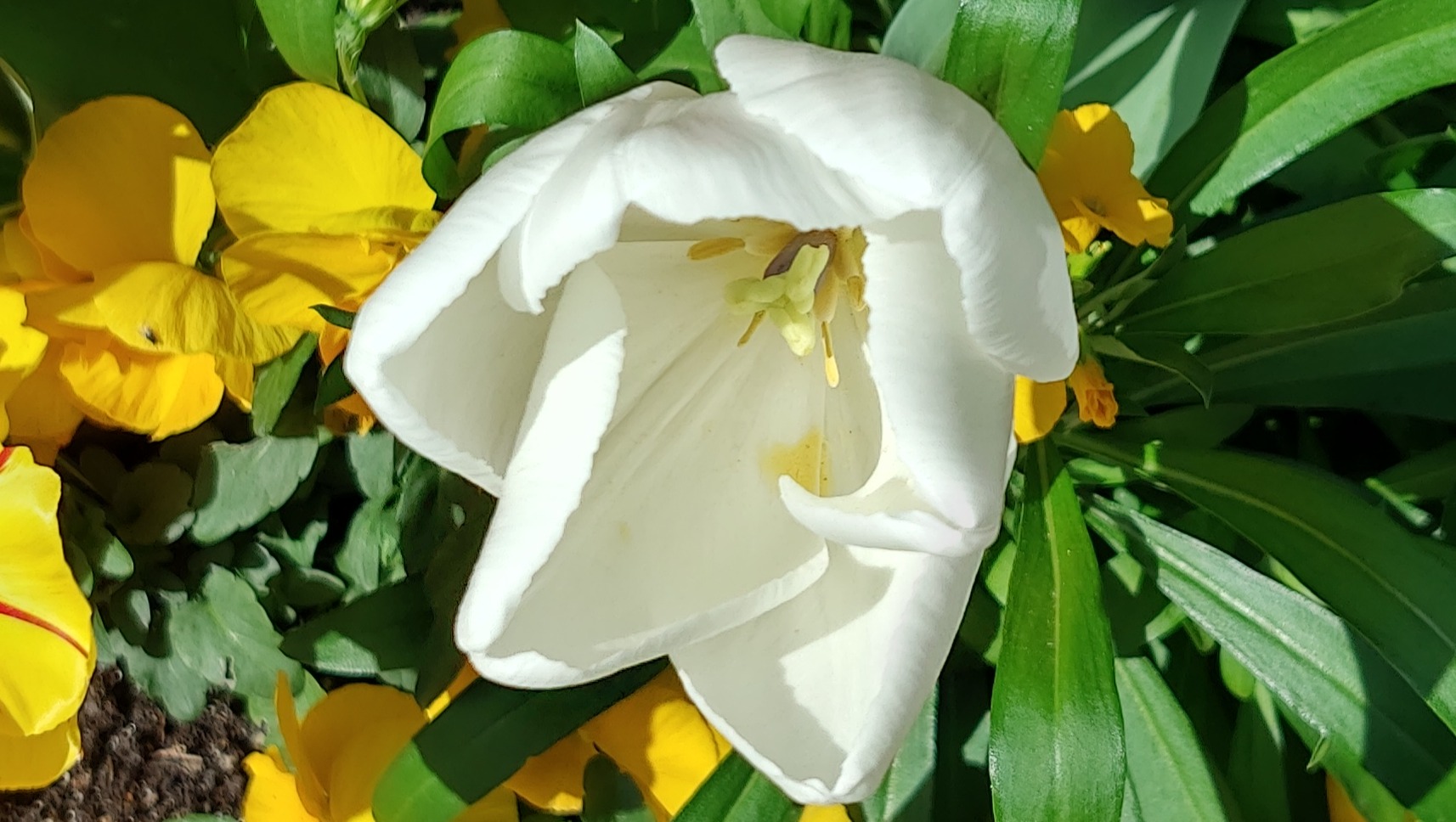 Fundraiser for Karen Kaminskas by Steve Comess : It could happen to any ...