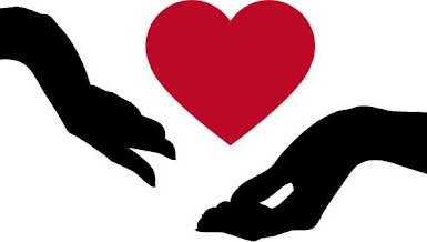 Fundraiser for Rachel Jocson by Natasha Coutinho : Rachel & Family