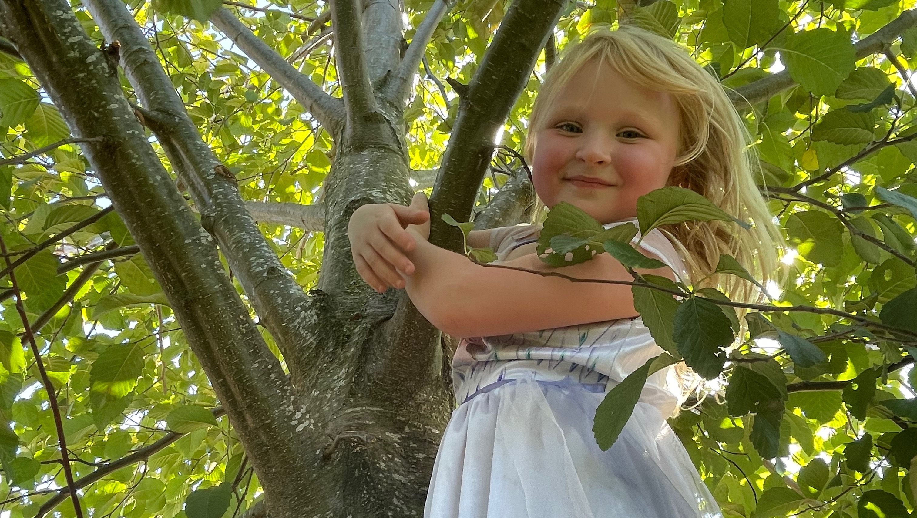 Fundraiser for Shawn Richardson by Elizabeth Wilson : Please help ...