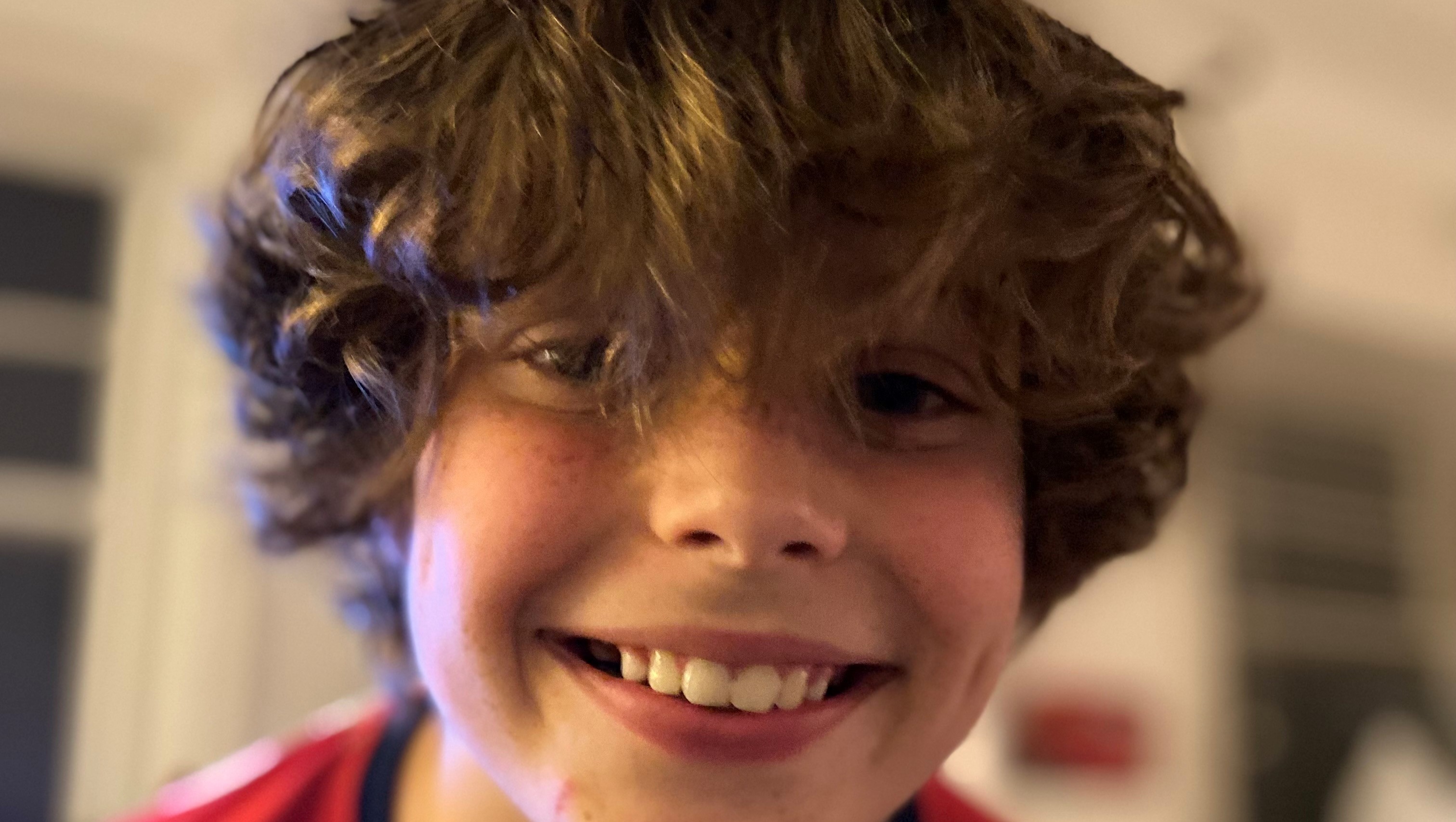 Fundraiser by Hugo Miller : Mophead for Mito!