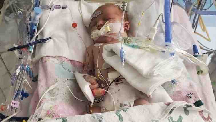 Fundraiser for Matthew Hastings by Ashley Nishimura : Baby Fe and her ...