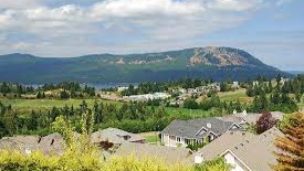 Fundraiser by Tracey Martin : Michelle Paton