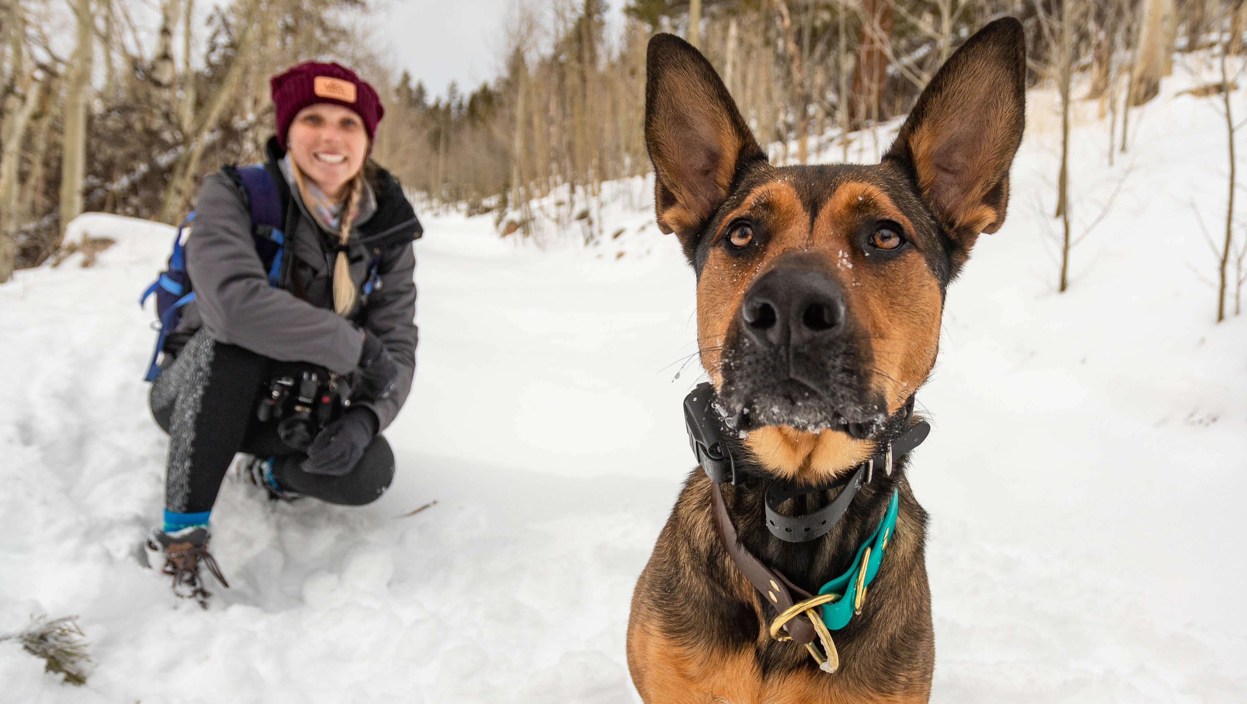 Fundraiser by Kate Lowrey : Bear's Comfort Care