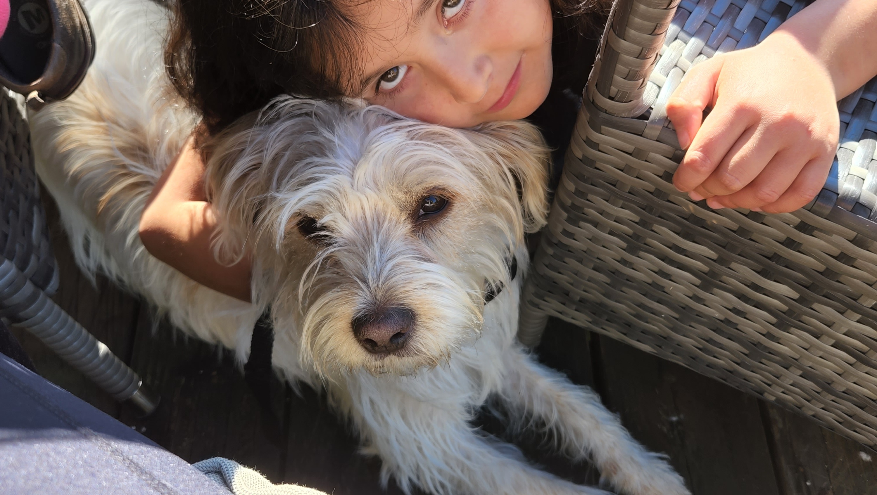 Spendenaktion von Leonora P Cabrera: Emergency veterinary care for Sasha