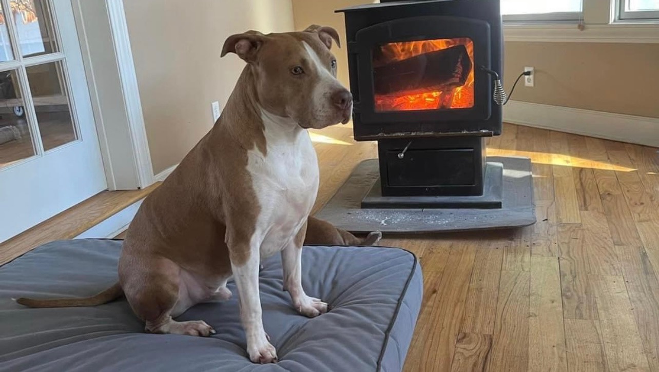 Fundraiser for Jason Petrini by The Shelton Community : Let’s Bring ...