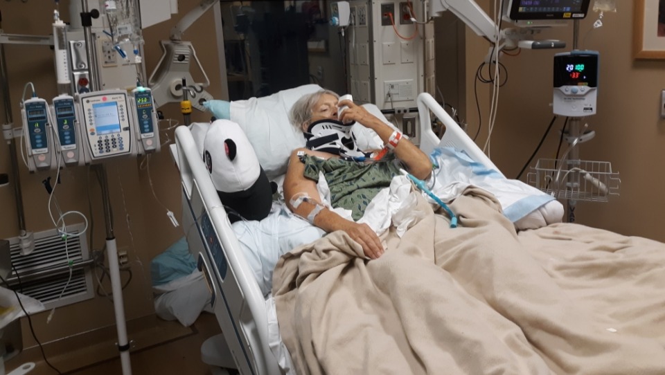 Fundraiser for Rose Possien by Anne Arnold : Rose's Surgery and Aaron's ...