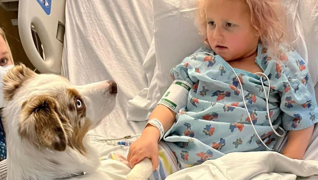 Fundraiser by Tina Craddock : Please help Aubrey fight optic nerve glioma