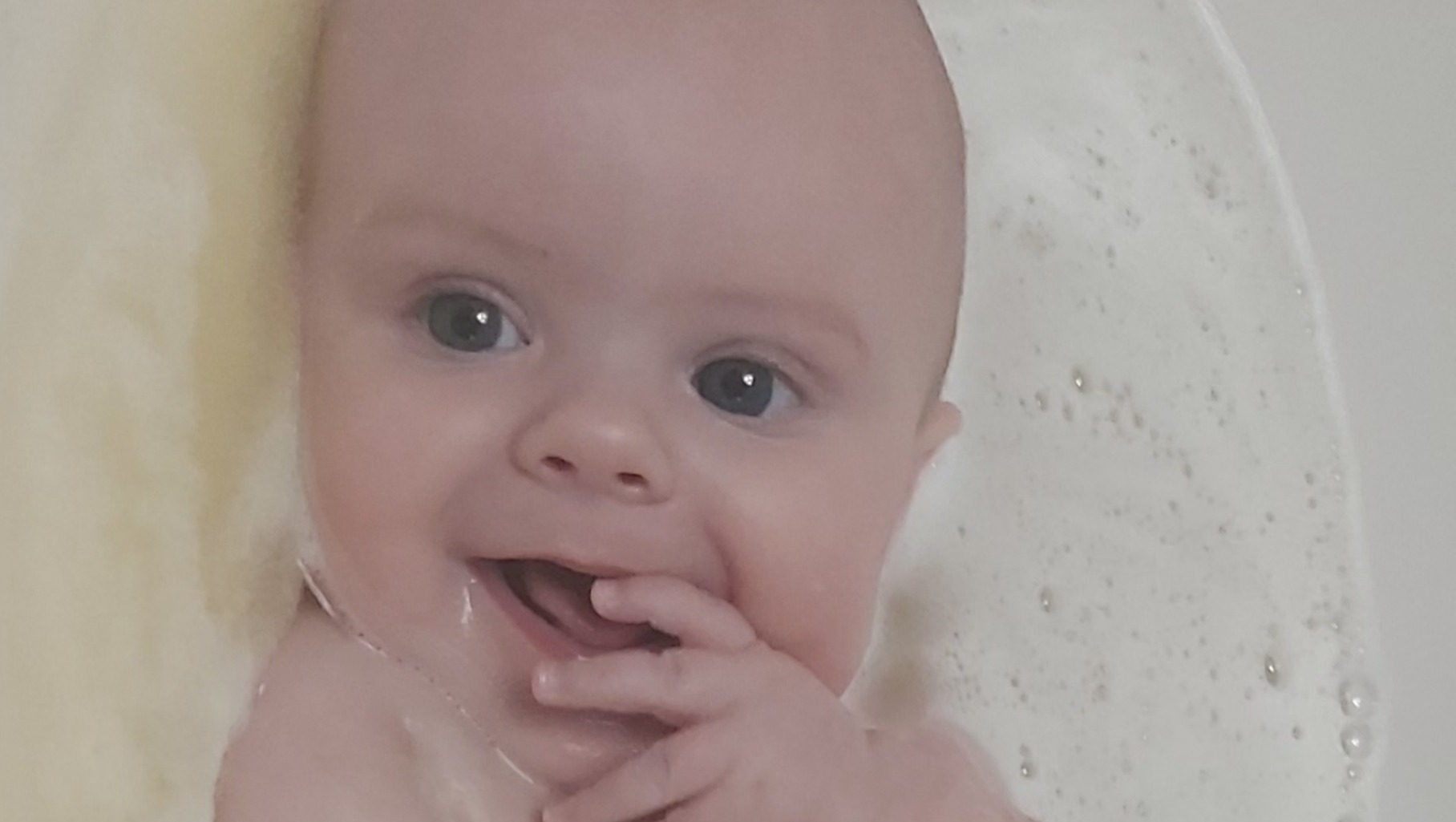 Fundraiser by Toni-Leanne Shipley : Louie's Medical Funding for a ...