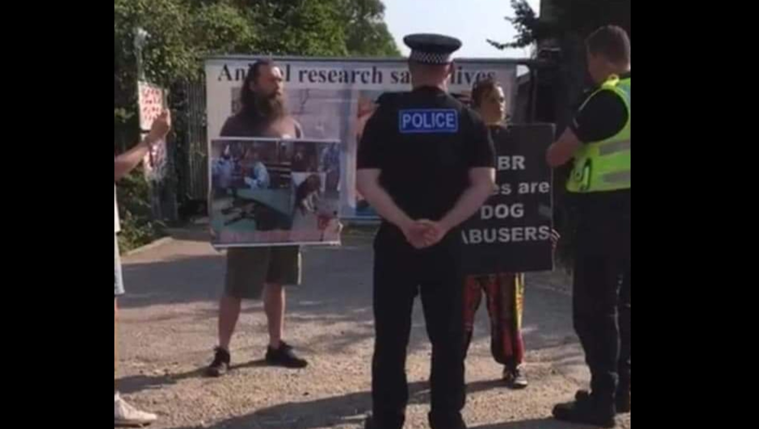 Fundraiser By Kim Haines Free The MBR Beagles fundraiser-by-kim-haines-free-the-mbr-beagles