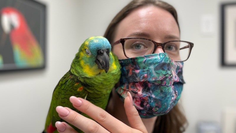 Fundraiser by Kersten Gruber : My baby Molly bird is sick and needs ...