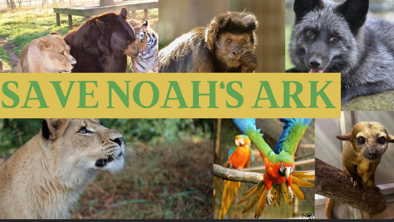 Fundraiser by Susan LeCraw : Save Noah’s Ark