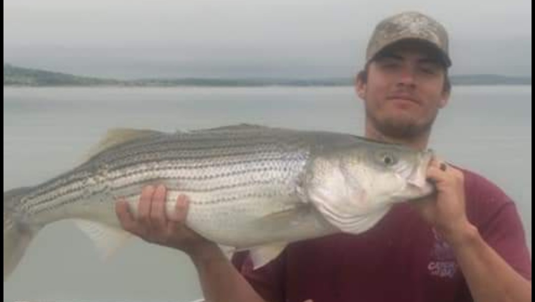 Fundraiser for Melissa Gillespie by Melissa Carlson : Jacob Gillespie